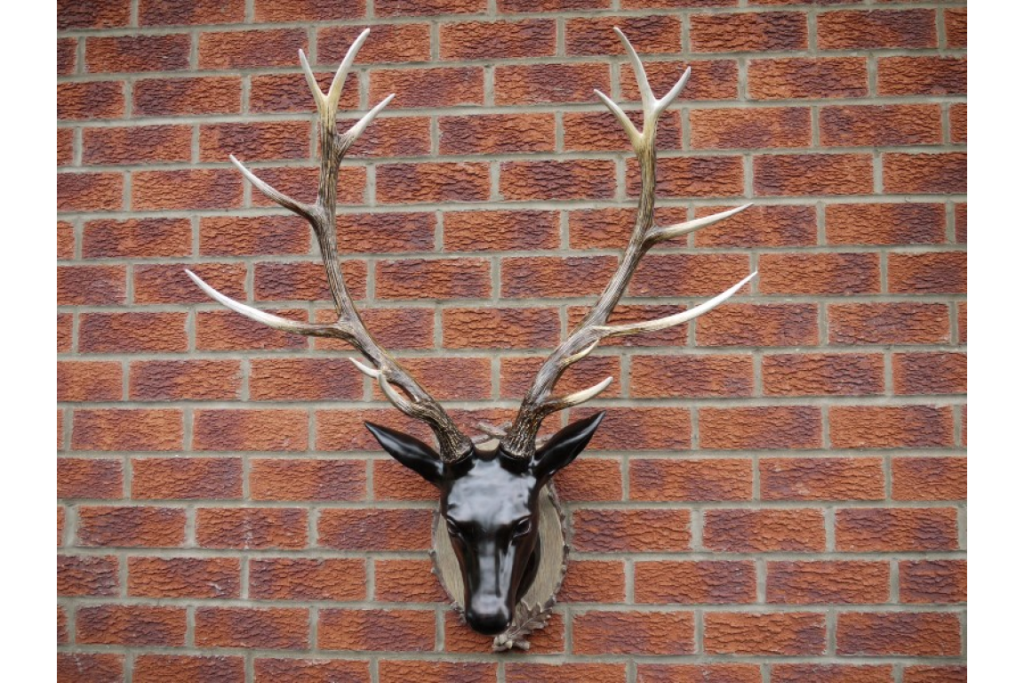 Stag Head Wall Decoration Obrien